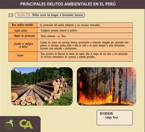 Delitos Ambientales Conexión Ambiental