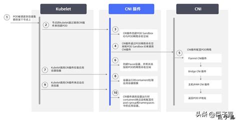 detailed explanation of kubernetes network plugin calico overview inews