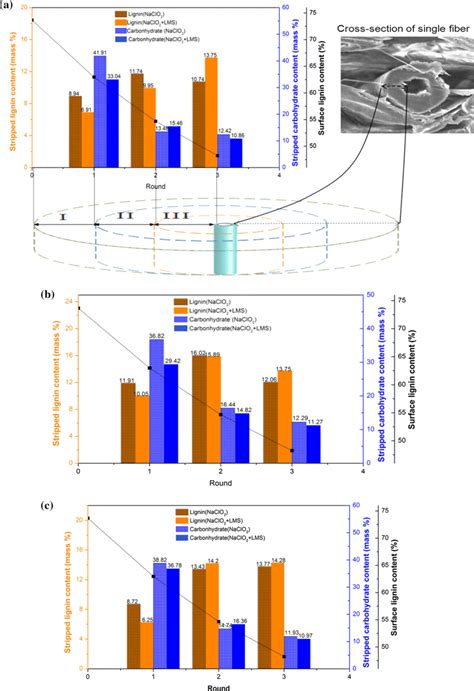 The Lignin Distribution In Different Fiber Models With The Contents Of Download Scientific