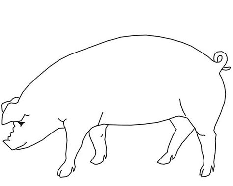 Pig Outline Drawing At Getdrawings Free Download