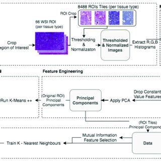 Experiment Dataflow Pipeline Download Scientific Diagram