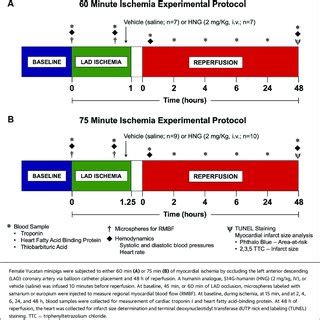 Experimental Protocols Download Scientific Diagram