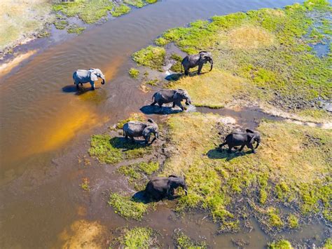 The Okavango Delta • Natures Masterpiece • Botswana