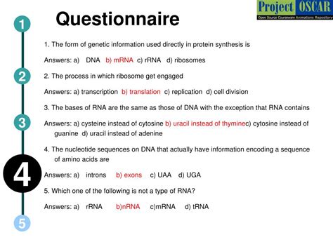 Ppt Structure And Functions Of Rna Powerpoint Presentation Free Download Id 5753919