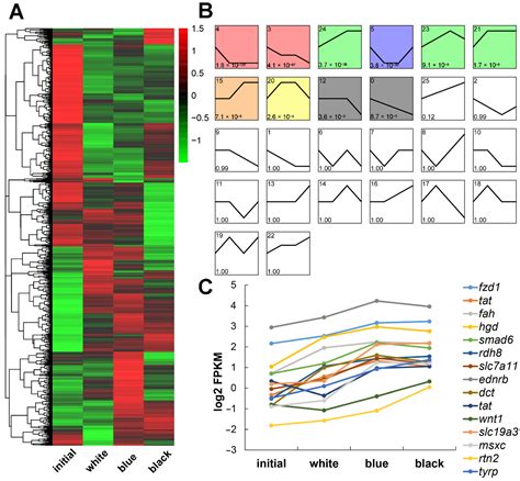 Ijms Free Full Text Transcriptome Analysis Reveals The Complex