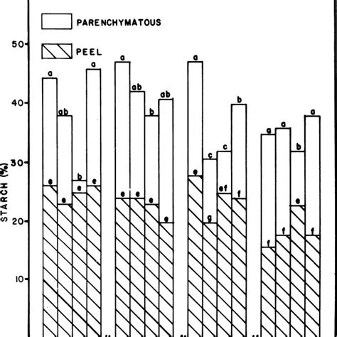 Starch Distribution In Fresh Cassava Root Sections Download