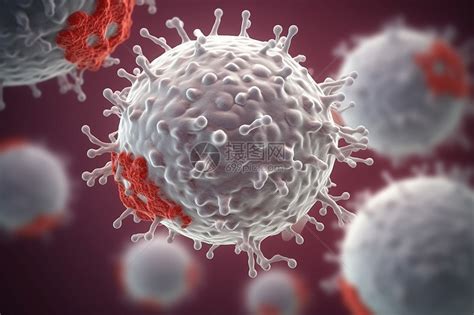 三维立体的白细胞图片素材 正版创意图片600157152 摄图网