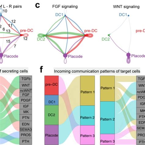 Pdf Inference And Analysis Of Cell Cell Communication Using Cellchat