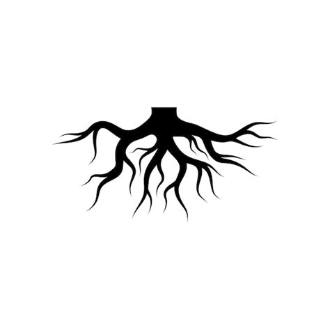Premium Vector Root Vector Illustration Template
