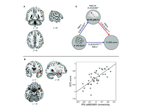 Results From The Voxel Level Whole Brain Resting State Functional Download Scientific