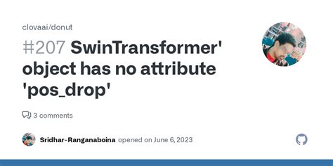 Swintransformer Object Has No Attribute Posdrop · Issue 207 · Clovaaidonut · Github
