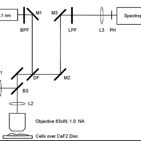 Illustration Of The Structure Raman Microscope The Microscope Uses Download Scientific Diagram