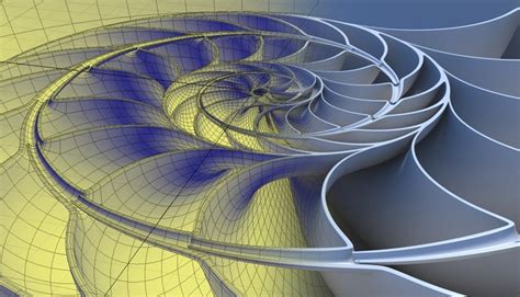 1000 images about fibonacci spirals on pinterest