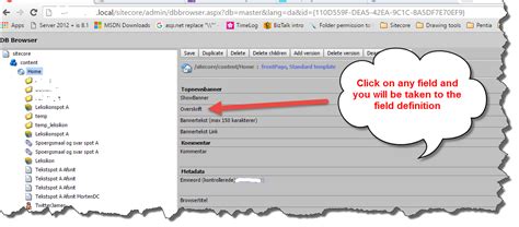 Finding Sitecore Fields In The Inheritance Hierarchy Website From Hell