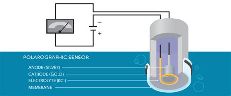 Dissolved Oxygen Measurement Dissolved Oxygen Meter DO Meters Sensors