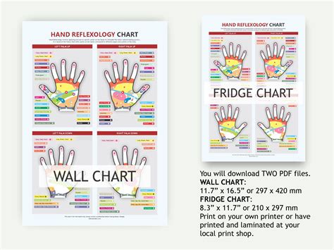 Hand Reflexology Chart Digital Download Pdf Reflexology Chart