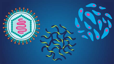 Infectious Disease Testing — Bio Rad