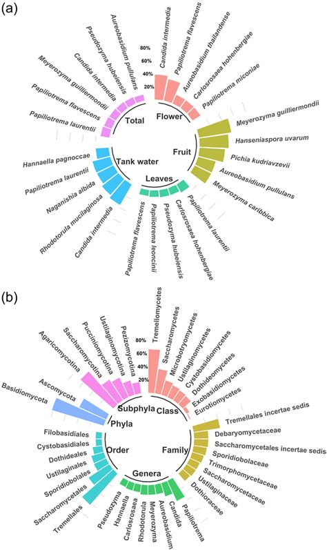 Barplot Showing The Frequency Of Occurrence Of The Groups A The Most
