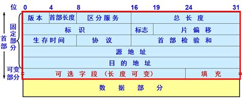 detailed explanation of ipv4 and ipv6 datagram format programmer sought