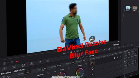 Davinci Resolve Blur Face Use This Blur Effect 2025