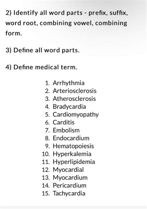 Solved 2 Identify All Word Parts Prefix Suffix Word