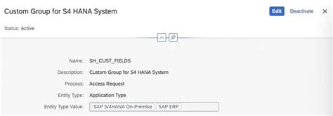 How To Create Custom Fields In Sap Iag Access Request Form Togglenow
