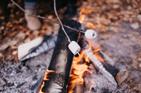 Outdoor Education At Plas Pencelli