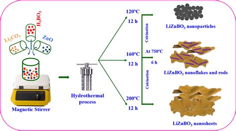 Schematic Representation For The Synthesis Of Liznbo3 Nanostructures Download Scientific