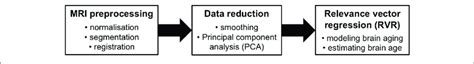 General Flowchart Of The Brain Age Estimation Framework Download