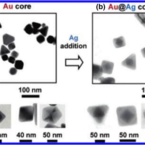 Coreshell Nanostructures A Simplest Two Component System With Enhanced Properties And Multiple