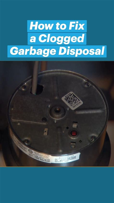 Garbage Disposal Cause Clog At Fred Morales Blog