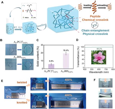 A Synthesis Of Peptide‐crosslinked Highly Entangled Hydrogels B