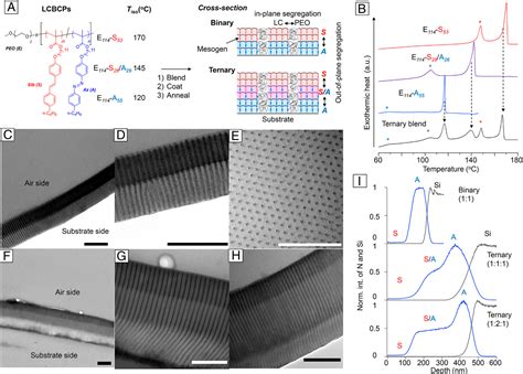 Figure 1 From Self Templateassisted Micro Phase Segregation In Blended Liquid Crystalline Block