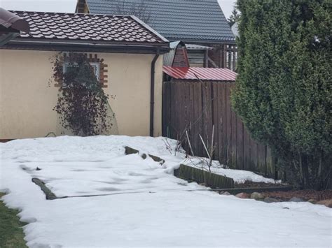 Лунный календарь огородника и садовода на 20 26 января что обязательно нужно сделать новости