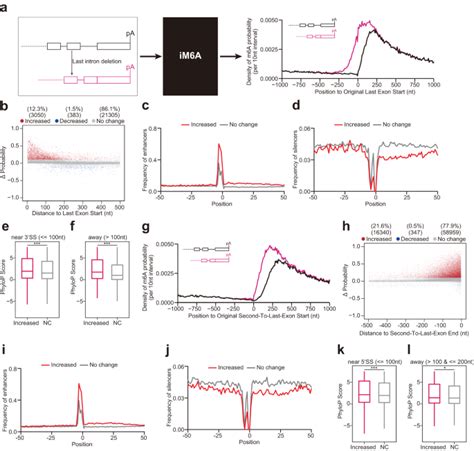 exon intron boundary inhibits m6a deposition enabling m6a distribution