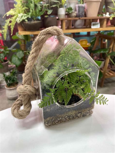 [부산] 하우스행잉 테라리움 만들기 솜씨당