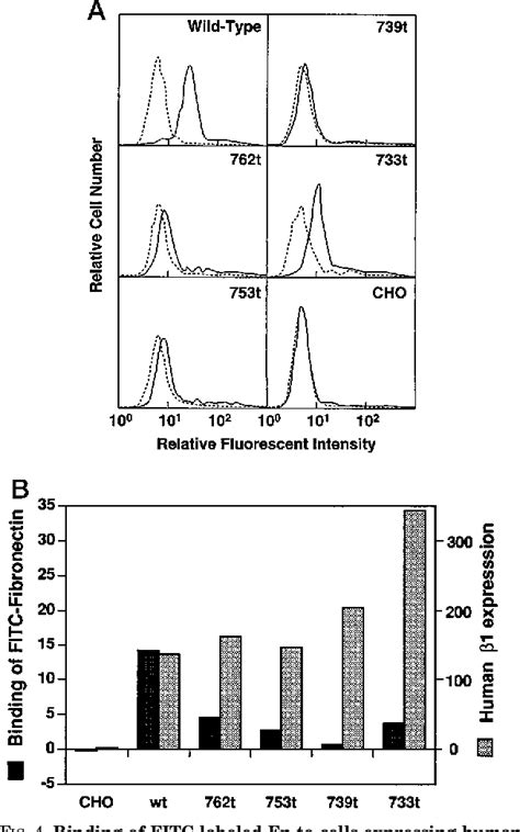 Figure 4 From Regulation Of Conformation And Ligand Binding Function Of