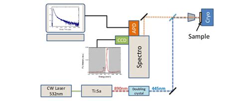 25 Decay Measurements Set Up Download Scientific Diagram