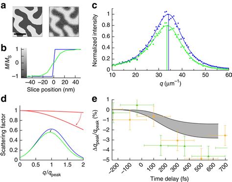 Results From Montecarlo Simulation Of Superdiffusive Download Scientific Diagram