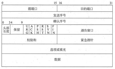 Tcp报文格式 软考在线