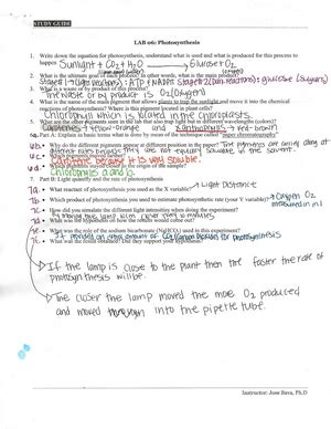 Lab Virtual Microscope Jm Jadeanna Martinez OneNote Thursday February PM Studocu