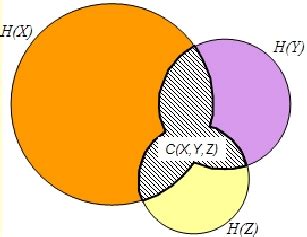 Graphical Representation Of Relations Between Entropies And Total Download Scientific Diagram