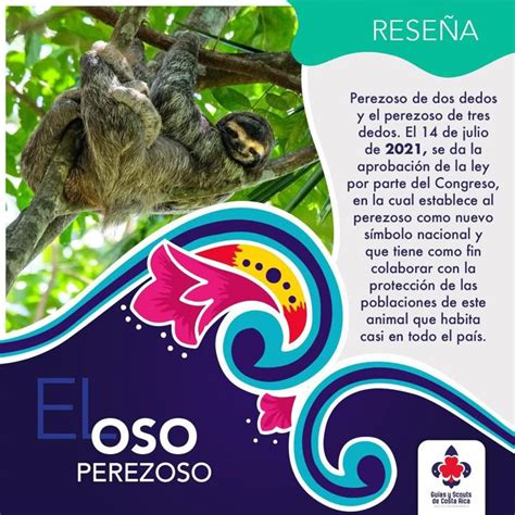 Costa Rica Un Destino único