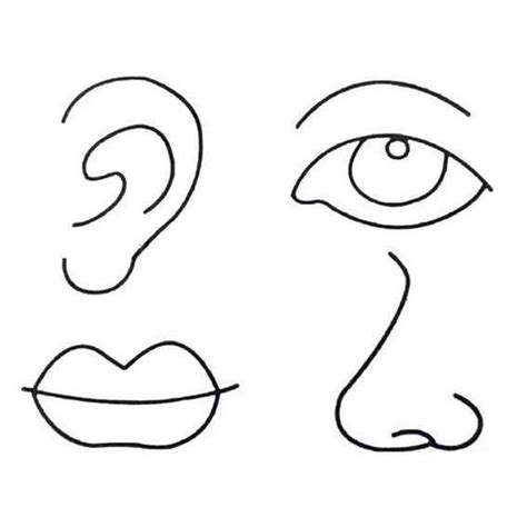 五官的简笔画 五官的简笔画图片 苗苗知道