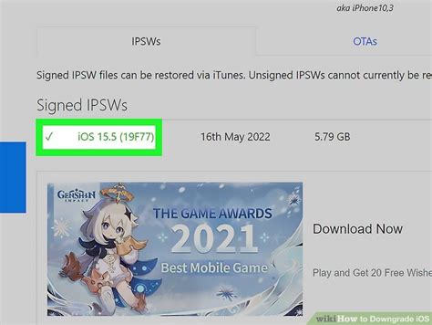 How To Downgrade IOS 13 Steps With Pictures WikiHow