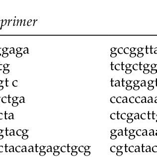Reverse Transcriptase Polymerase Chain Reaction Primer Sequences Download Table