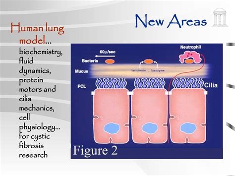 Systems Science For Situations Where Tools Are Disjoint Ppt Download