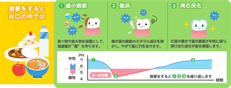 歯科から食育 歯とお口のことなら何でもわかる テーマパーク8020