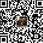 DeepSeek 本地部署最佳实践三SGLang 分布式推理部署满血版模型 文章 开发者社区 火山引擎