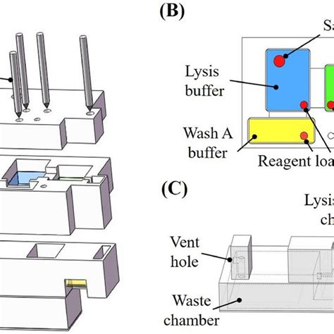 Microfluidic Chip For Nucleic Acid Extraction A An Exploded View Of Download Scientific